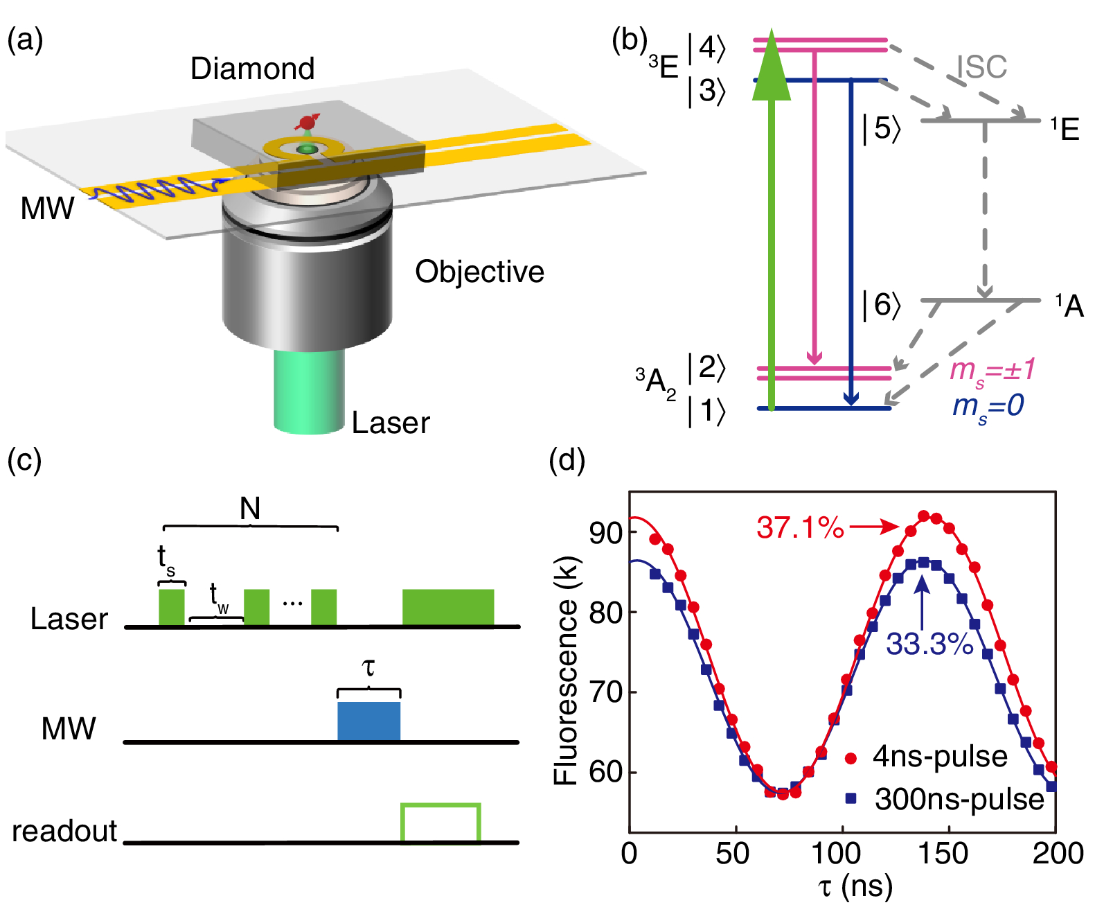 Confocal Microscope – LowTlab – Laboratorio di Fisica delle Basse ...